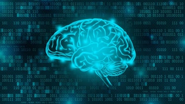 What Happens in Your Brain When You Fail?