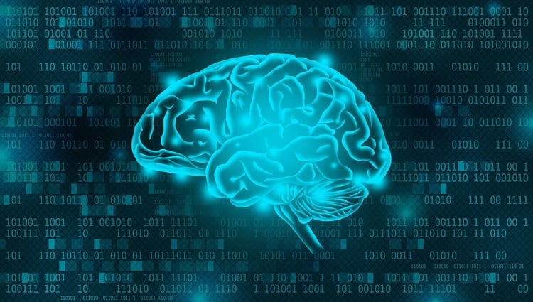 What Happens in Your Brain When You Fail?