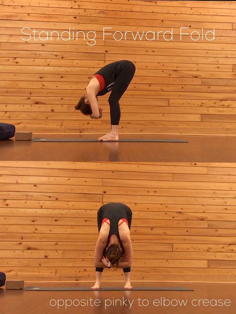 Yoga Poses for Grounding and Relaxation